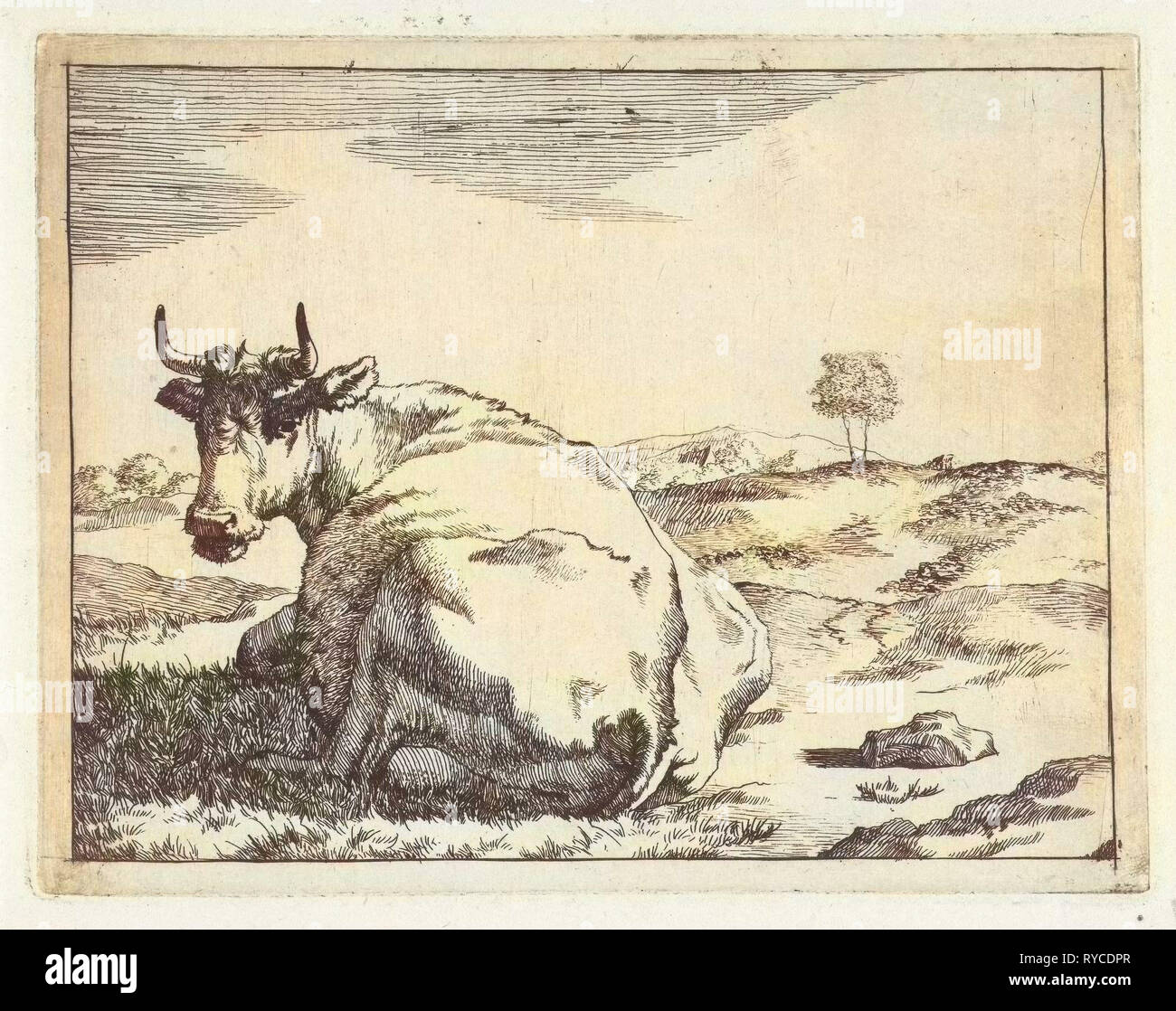 Lying cow, Marcus de Bye, Paulus Potter, 1657 - c. 1677 Stock Photo - Alamy
