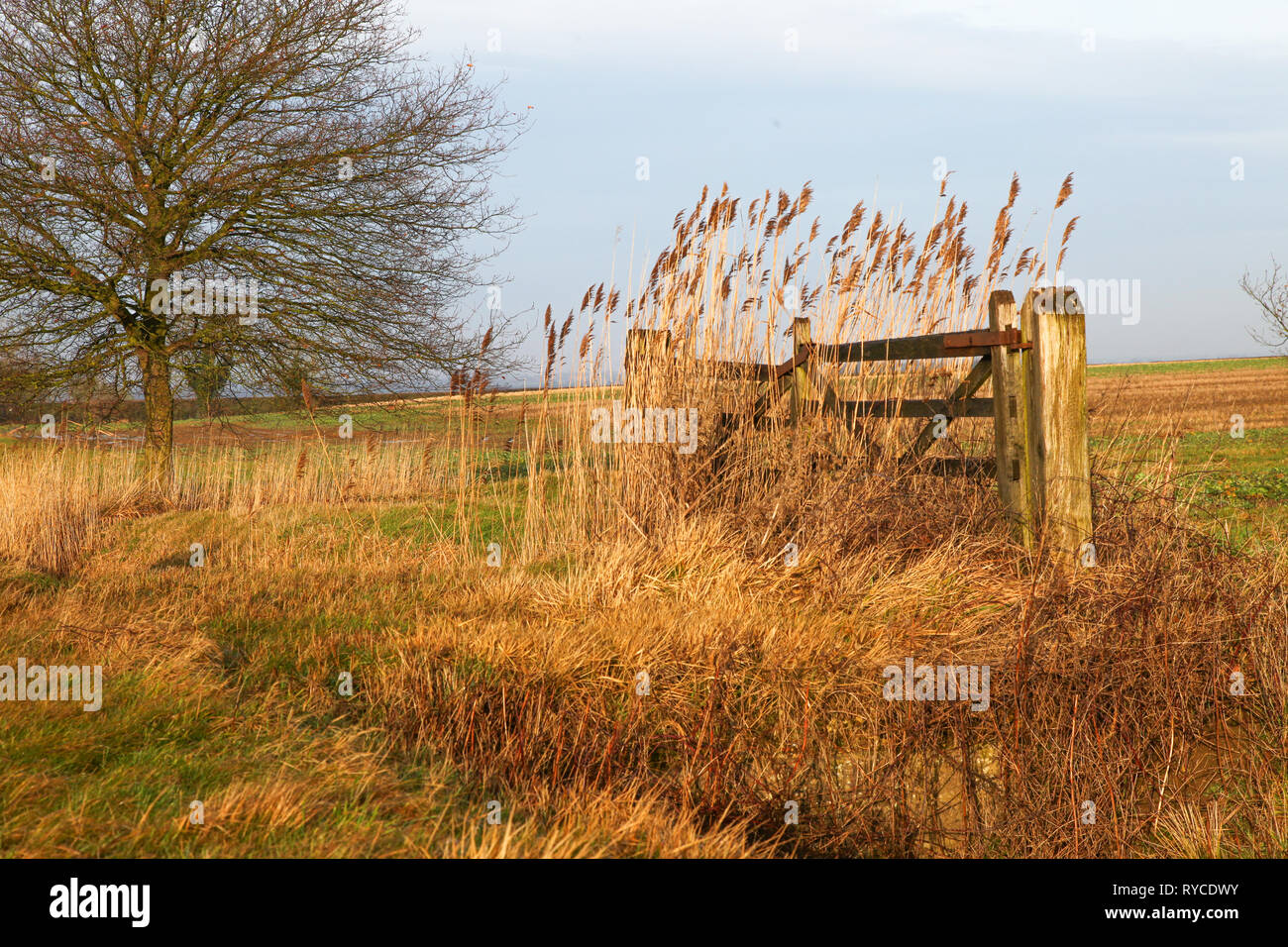 Farmland in the united kingdom during autumn season Stock Photo - Alamy