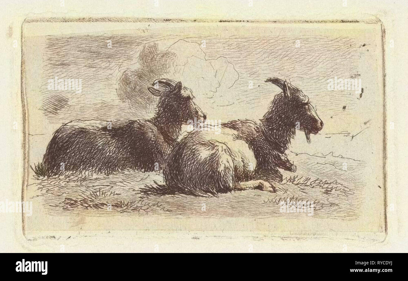 Two reclining goats, Simon van den Berg, 1822-1899 Stock Photo - Alamy