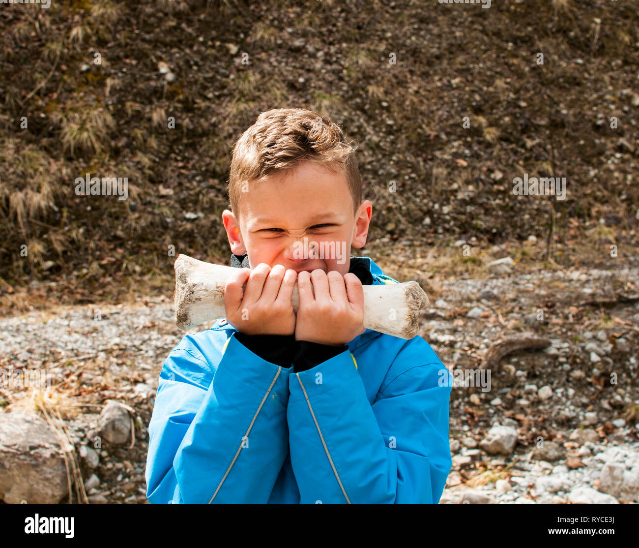 Boy in blue jacket bites into a very big old bone in a dried up river ...