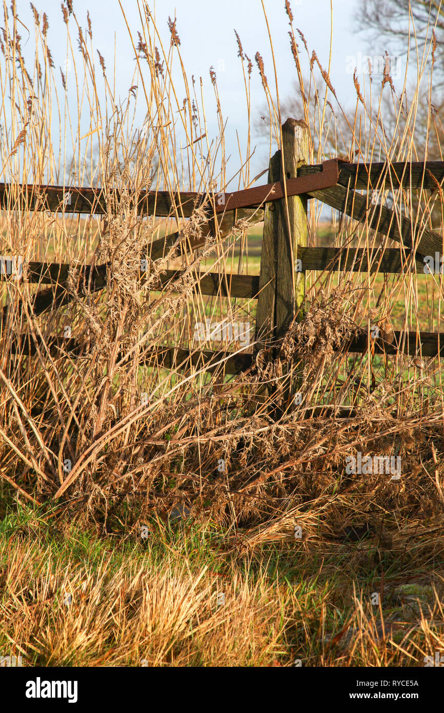 Farmland in the united kingdom during autumn season Stock Photo - Alamy