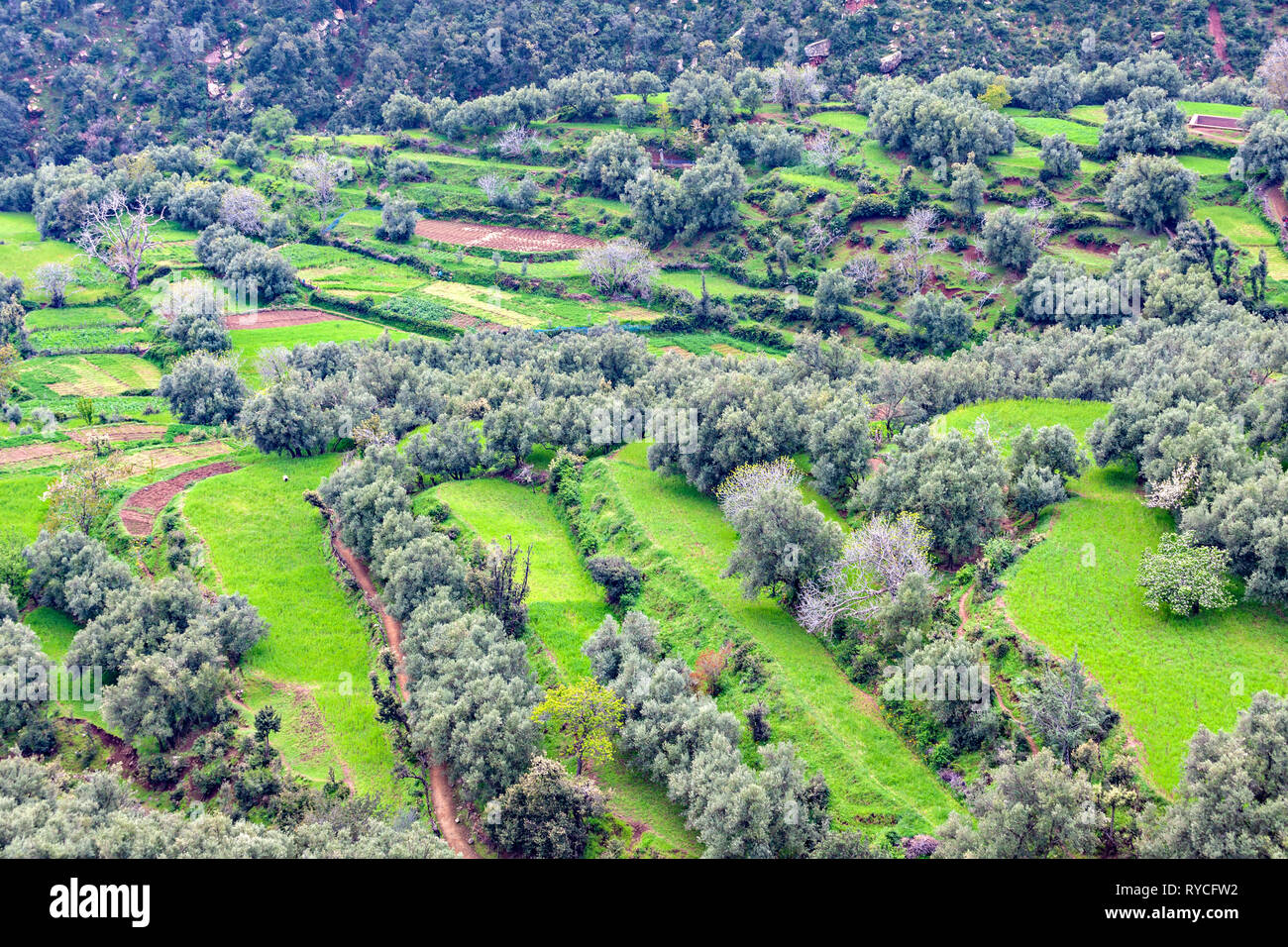 Farming valley hi-res stock photography and images - Alamy