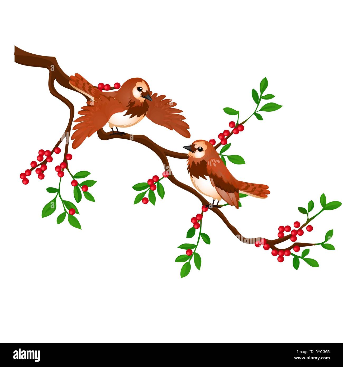Perch perching tree Stock Vector Images - Alamy