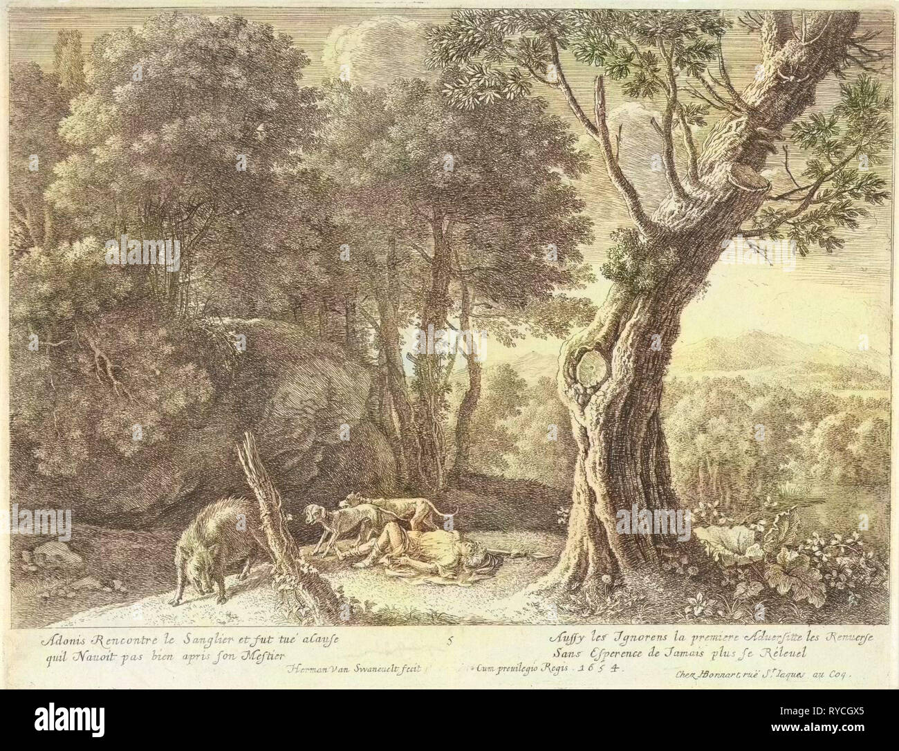 Boar leg hi-res stock photography and images - Alamy