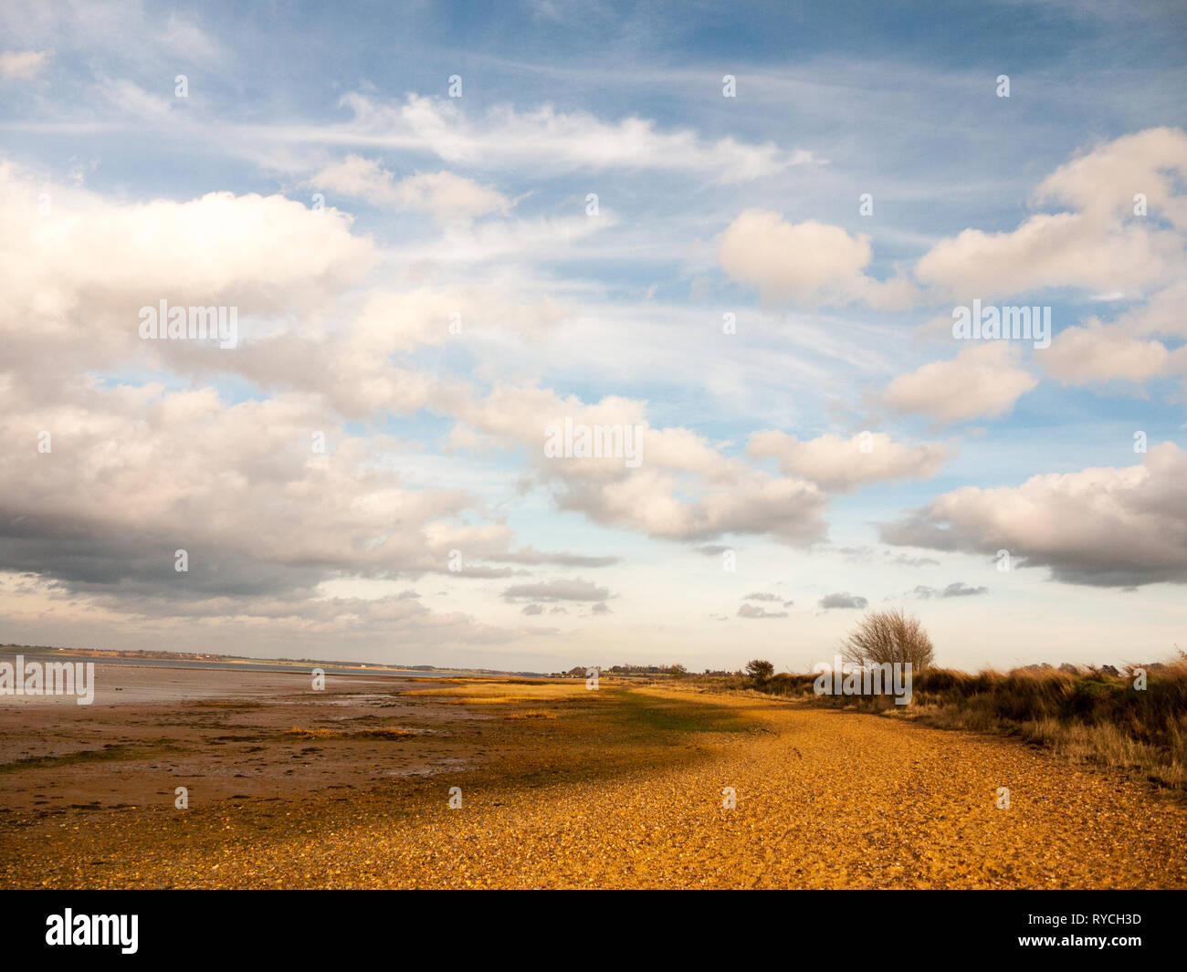 Beautiful bay coastal open scenery outside Manningtree, Jacques Bay ...