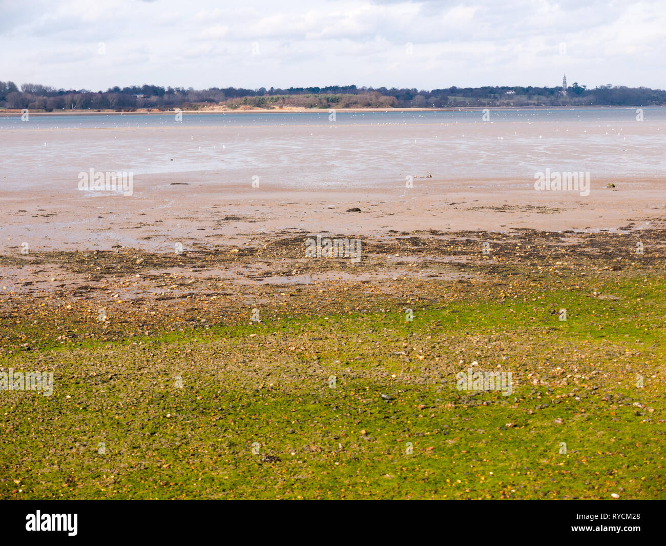 Manningtree beach hi-res stock photography and images - Alamy