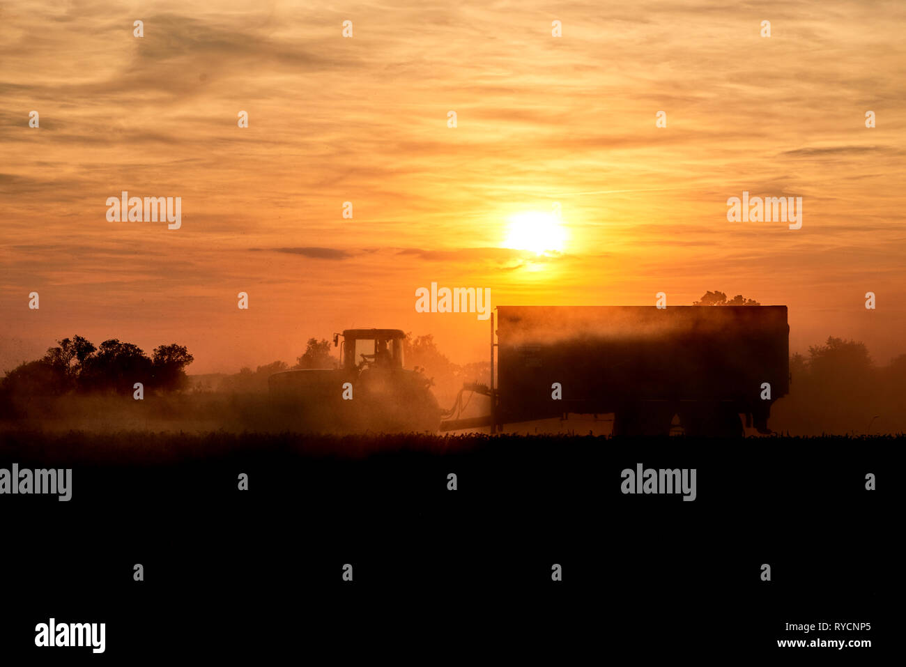 tractor with corn trailer in sunset Stock Photo - Alamy