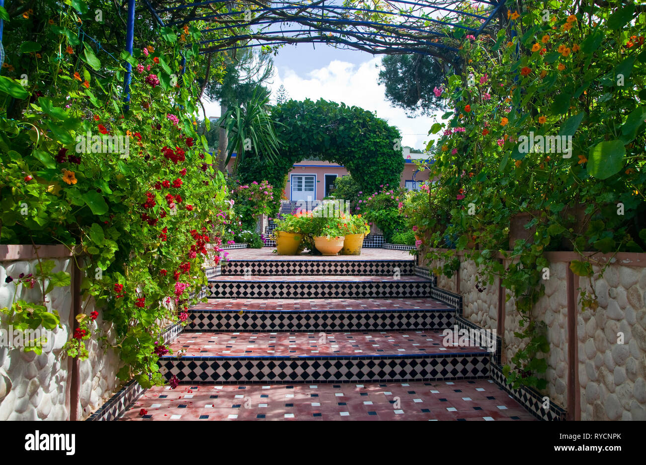 Steps Foliage Stock Photo Alamy
