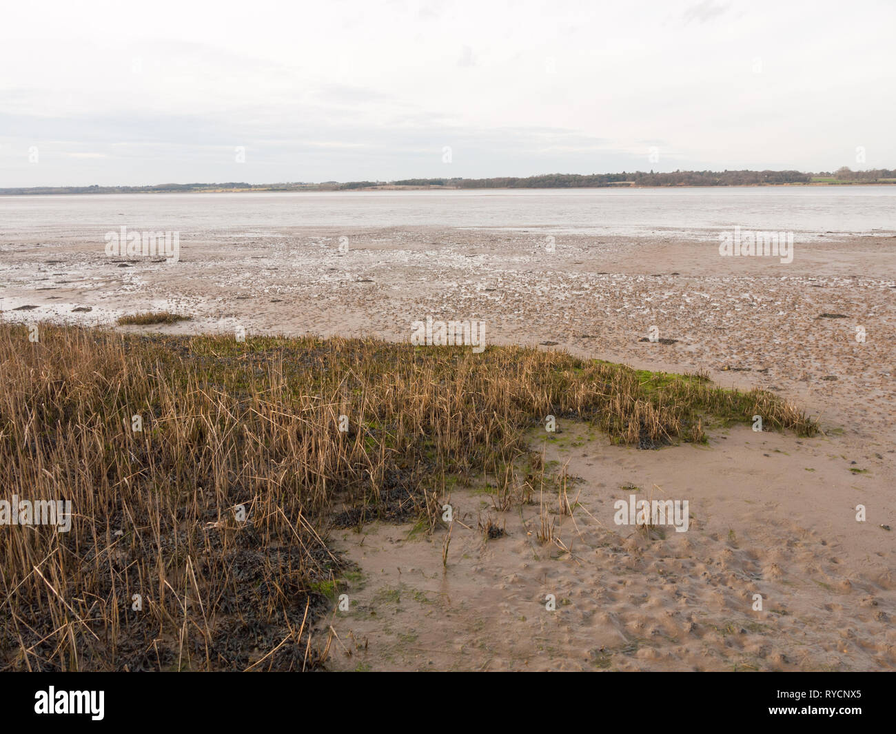Manningtree beach hi-res stock photography and images - Alamy