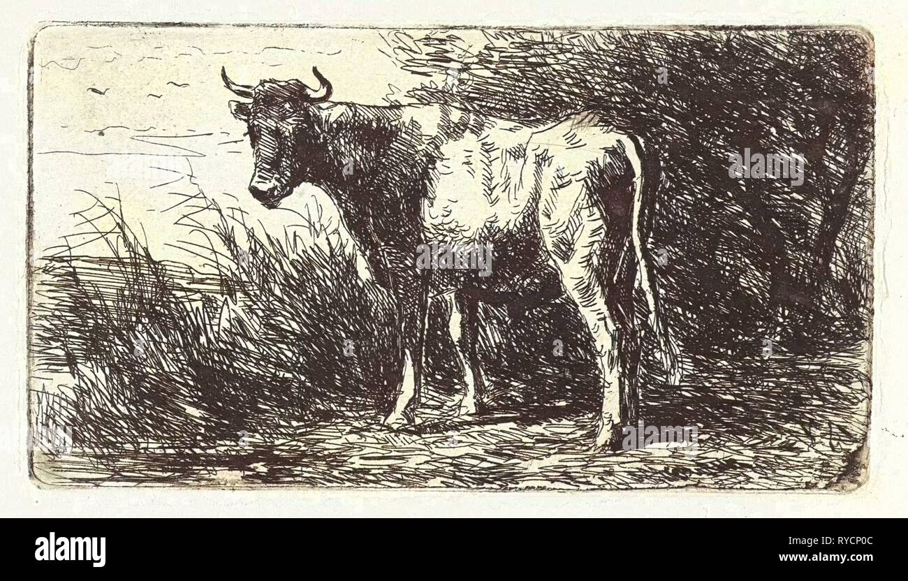Cow on the bank of a river, Jan Vrolijk, 1860 - 1894 Stock Photo - Alamy