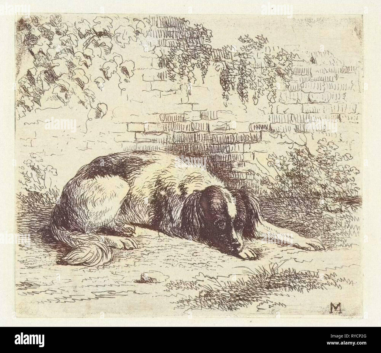 Dog reclining hi-res stock photography and images - Alamy