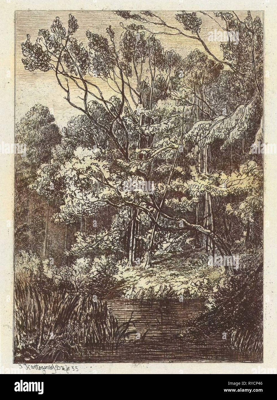 Hartogensis hi-res stock photography and images - Alamy