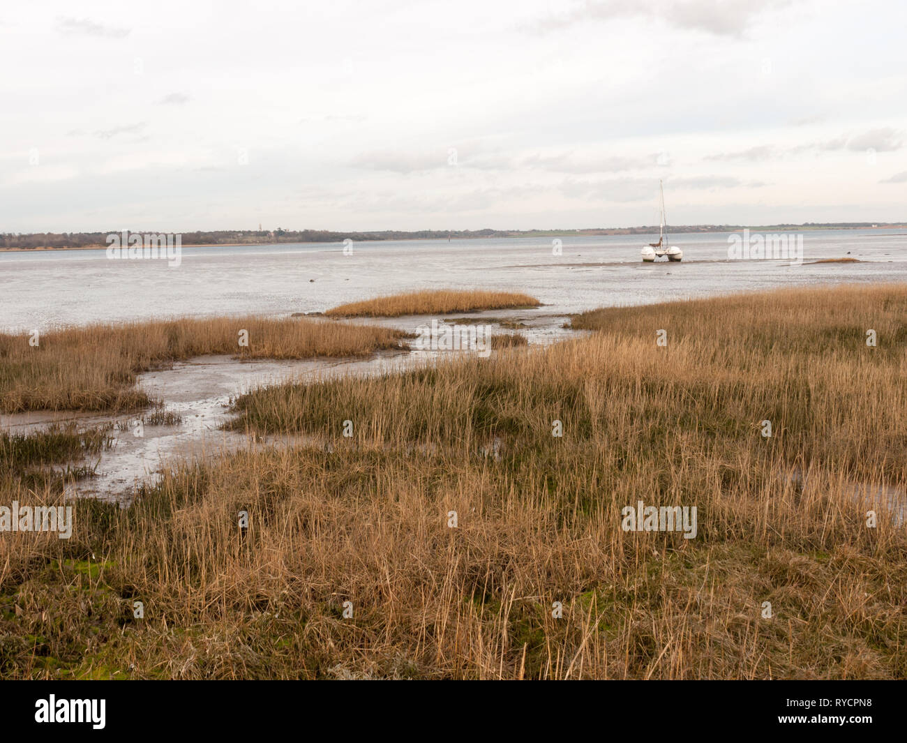 Manningtree beach hi-res stock photography and images - Alamy