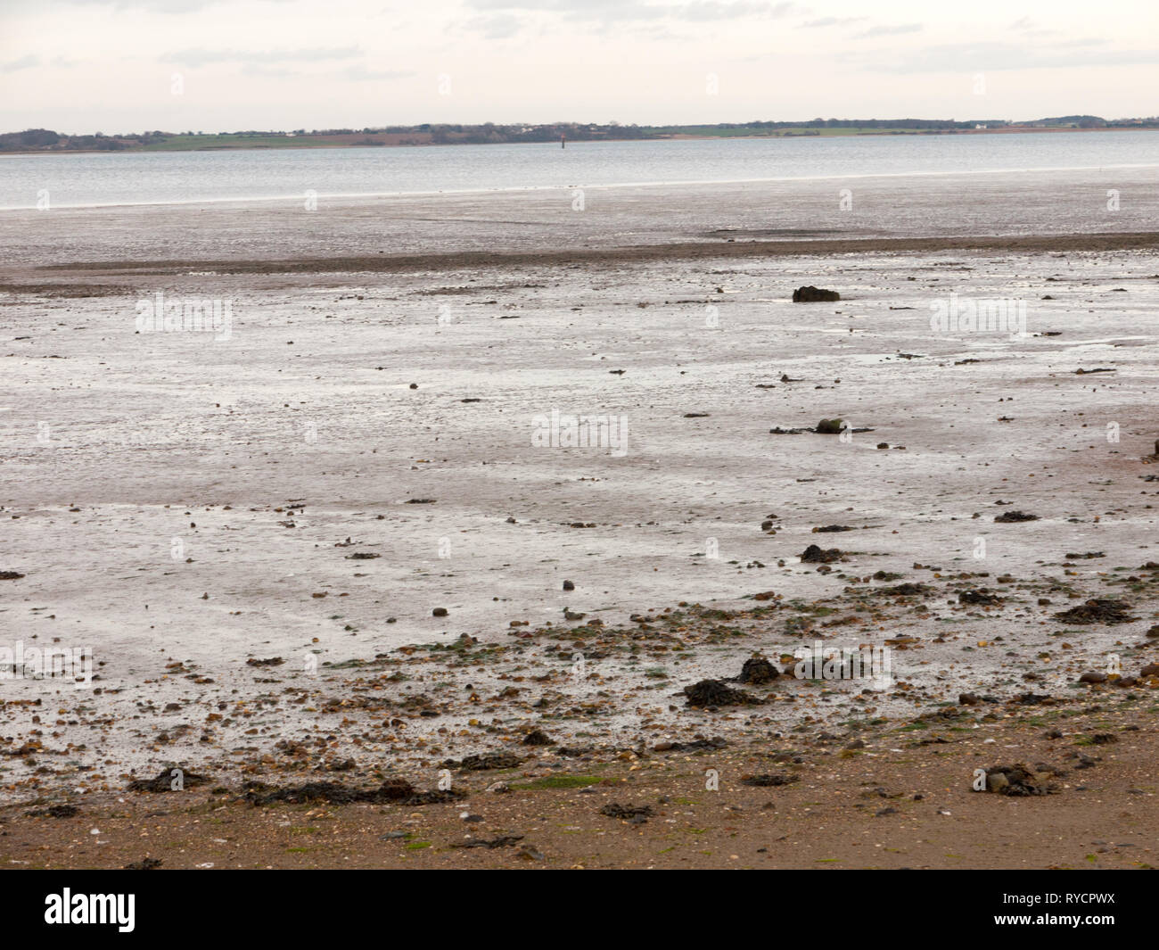 Beautiful bay coastal open scenery outside Manningtree, Jacques Bay ...