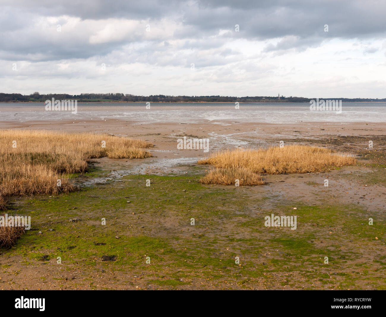 Manningtree beach hi-res stock photography and images - Alamy