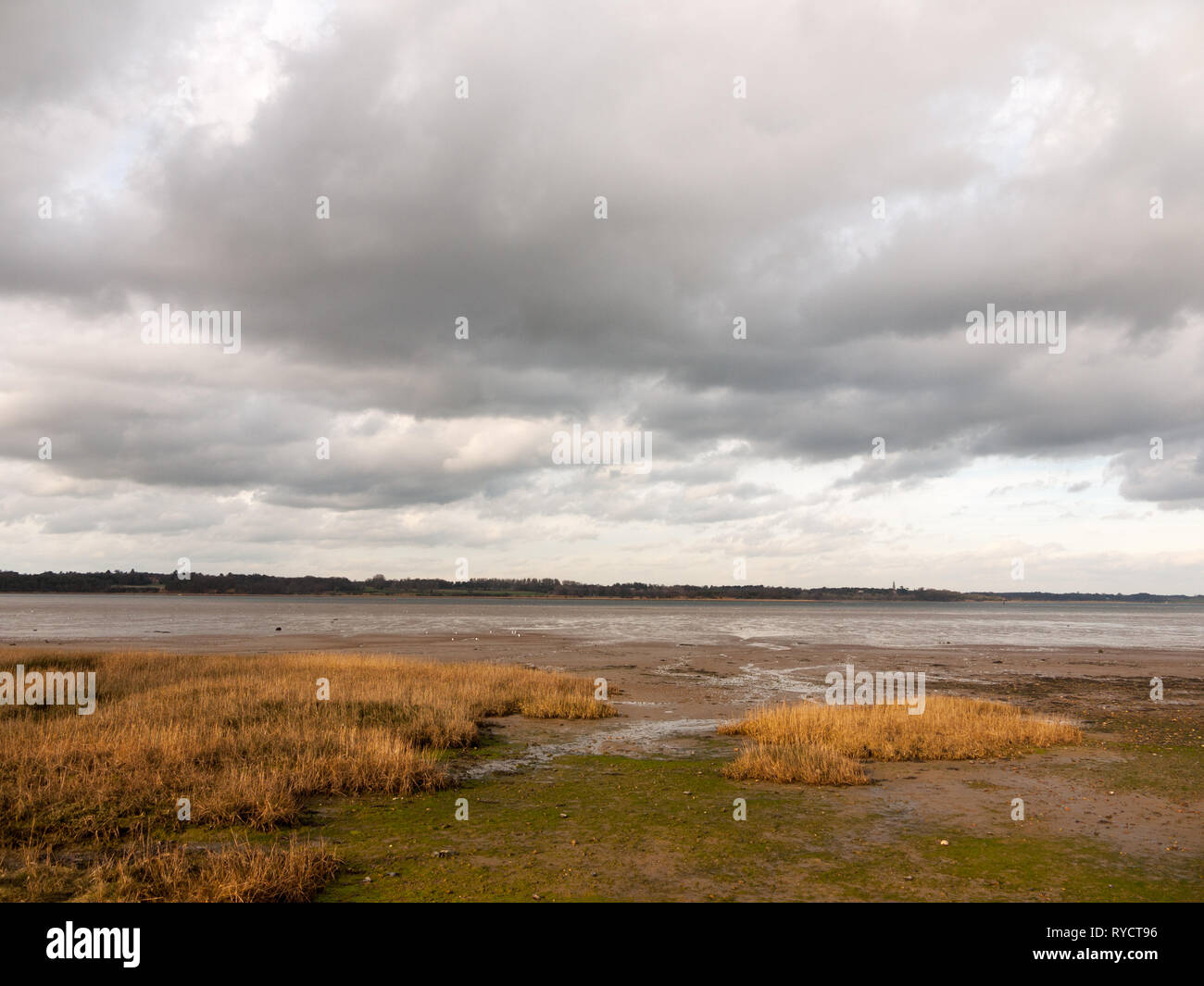 Beautiful bay coastal open scenery outside Manningtree, Jacques Bay ...