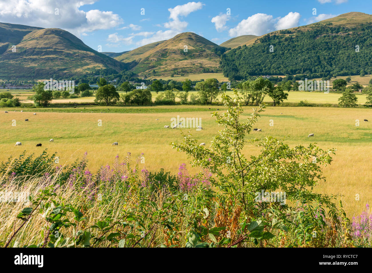Ochil hills hi-res stock photography and images - Alamy