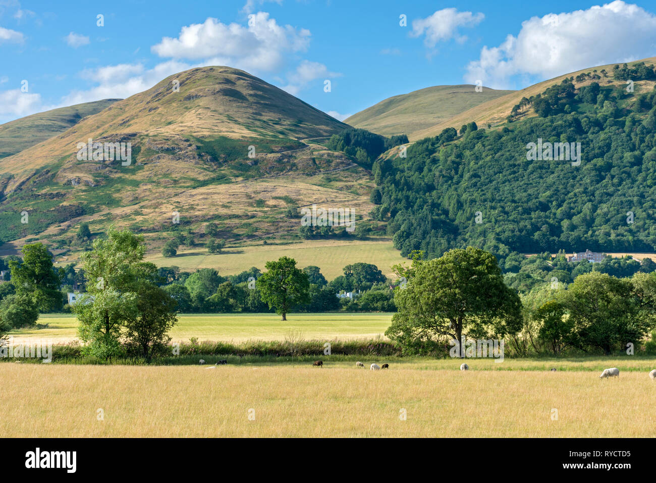 The Ochil Hills from the Woods caravan site, near Alva ...