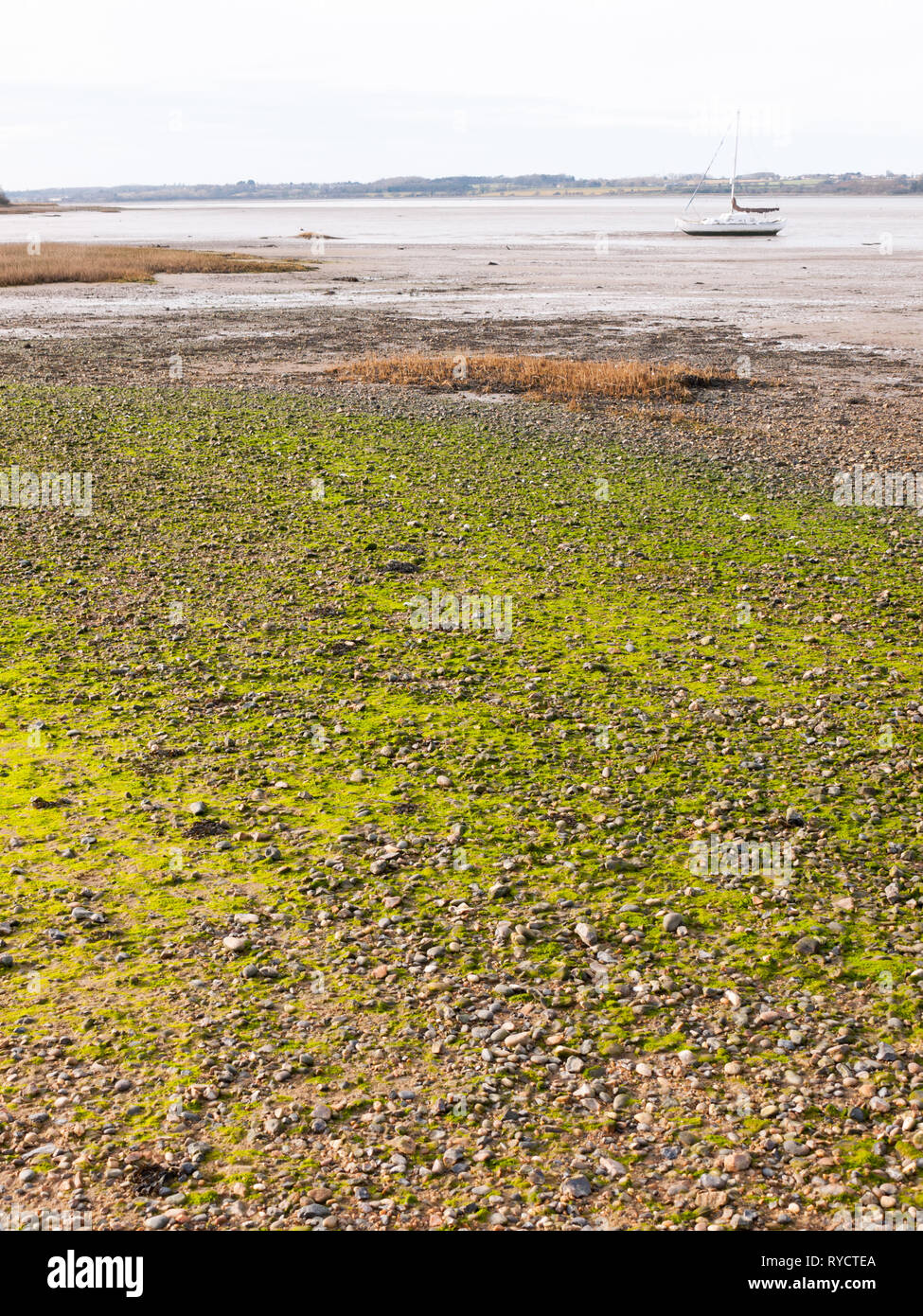 Beautiful bay coastal open scenery outside Manningtree, Jacques Bay ...