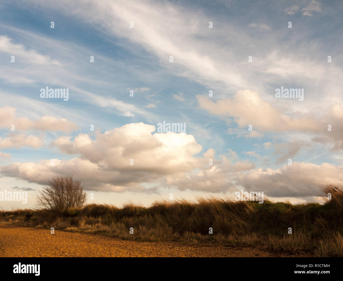 Beautiful bay coastal open scenery outside Manningtree, Jacques Bay ...