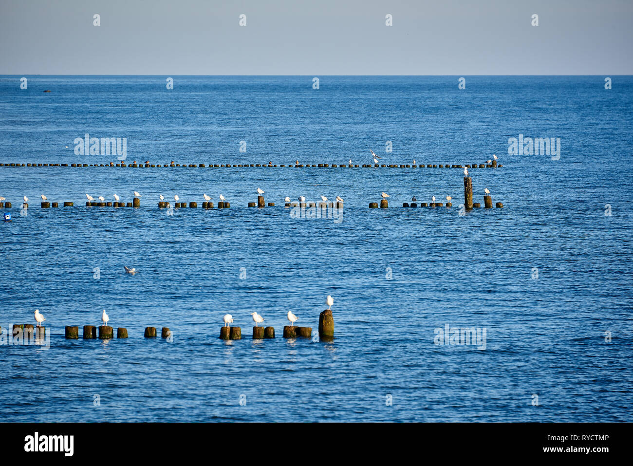 impression of baltic town Seebad Bansin on Usedom Stock Photo - Alamy