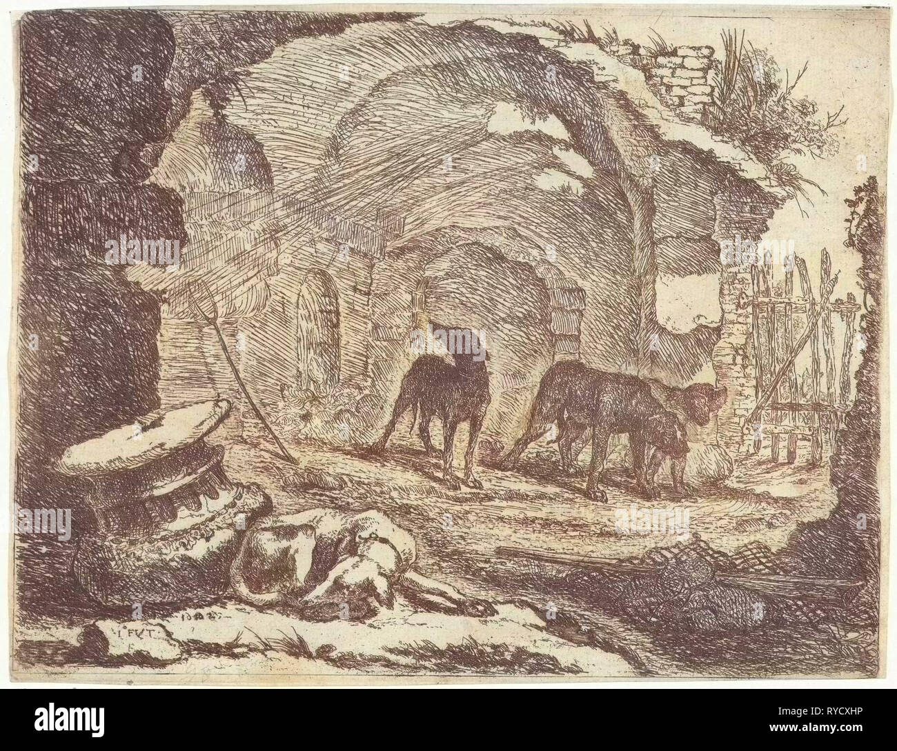 Jan fijt hi-res stock photography and images - Alamy