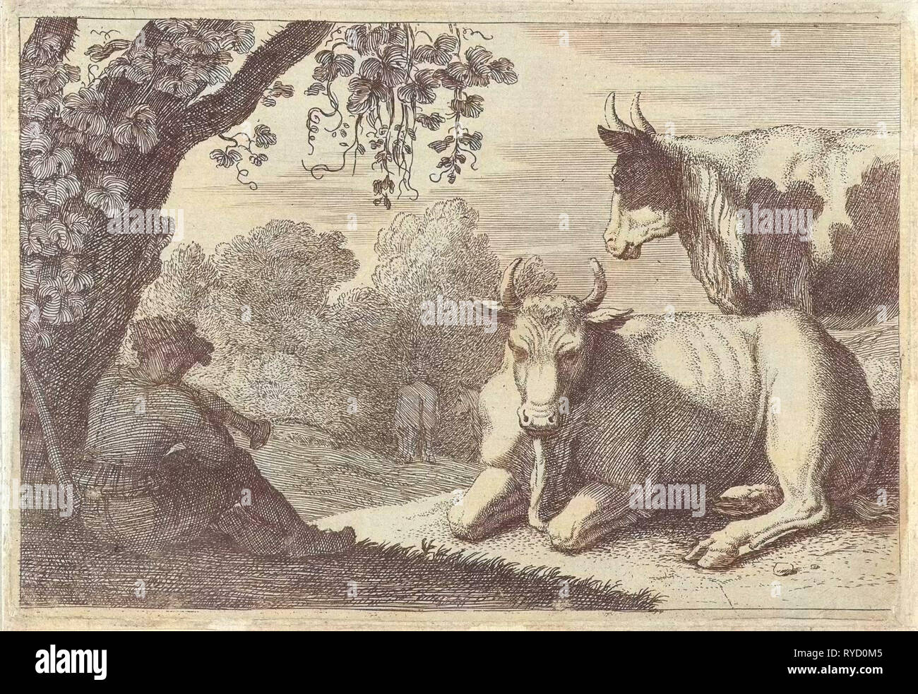 Cows, Anonymous, Herman van Swanevelt, 1636 - 1705 Stock Photo - Alamy