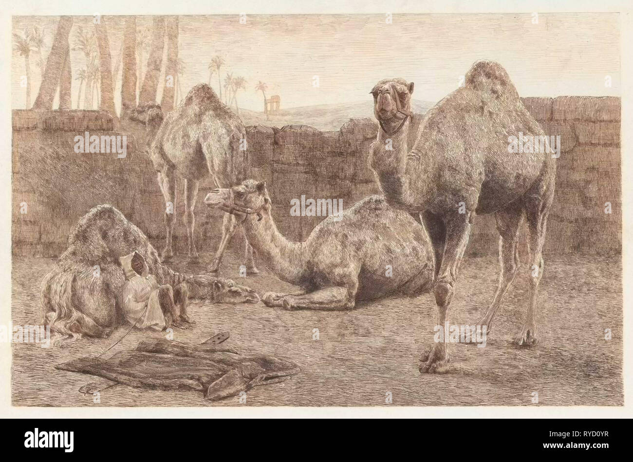 Le gras hi-res stock photography and images - Alamy