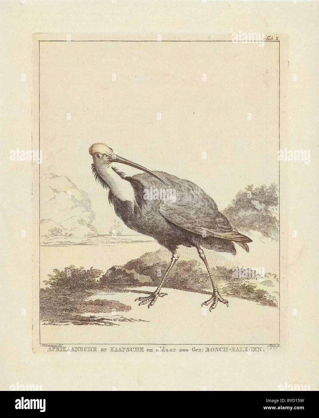 Simon fokke hi-res stock photography and images - Alamy