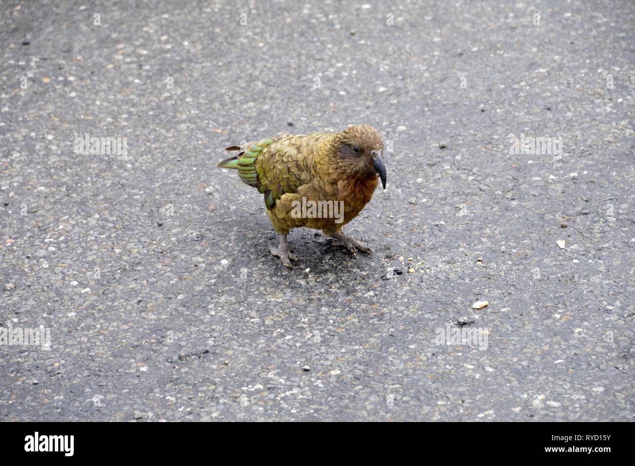 outside, outdoor, sun, sunlight, sunshine Stock Photo - Alamy