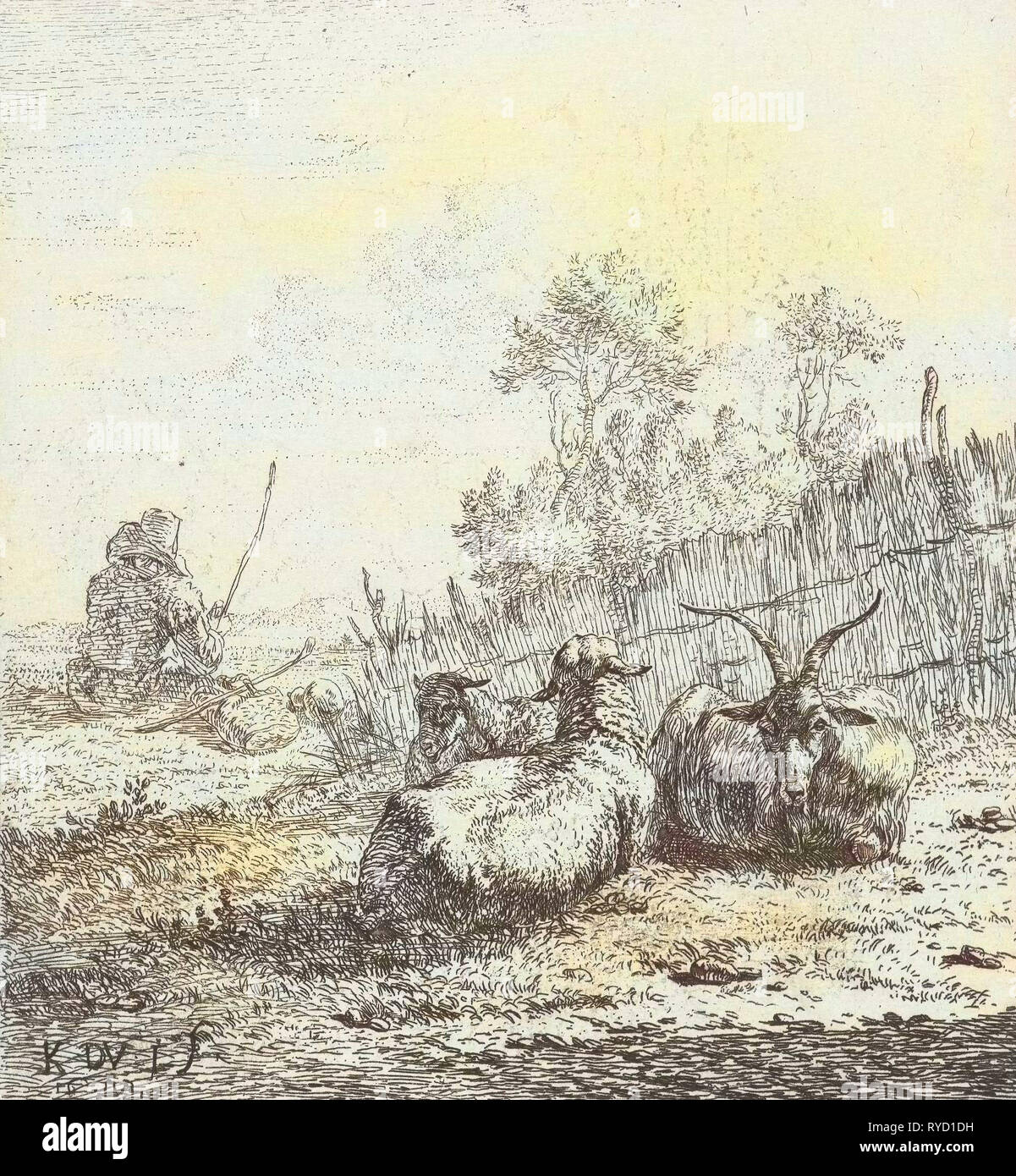 Eight sheep hi-res stock photography and images - Alamy