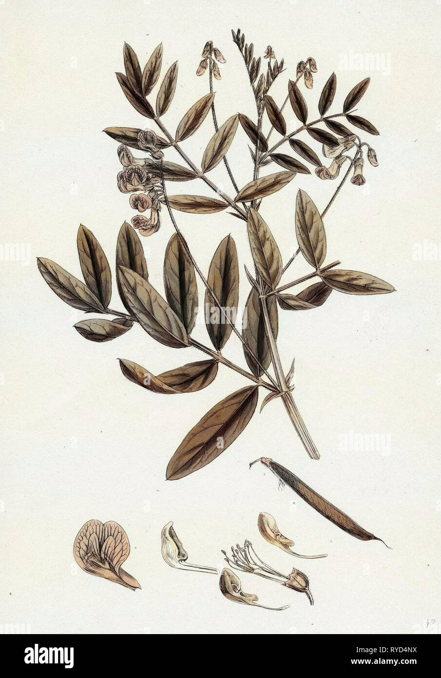 Niger retro hi-res stock photography and images - Alamy