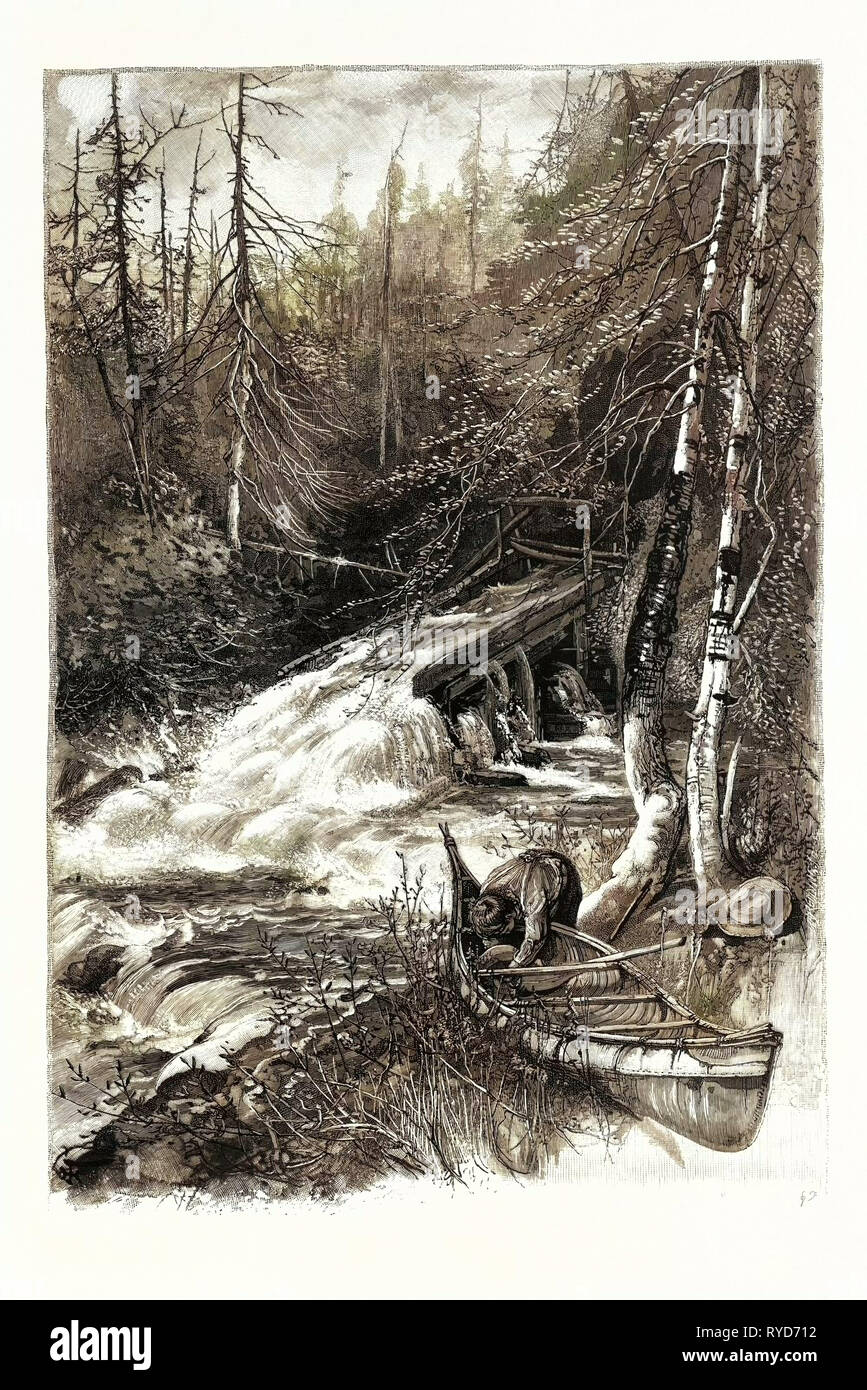 Forest Stream, and Timber Slide, Canada, Nineteenth Century Engraving ...