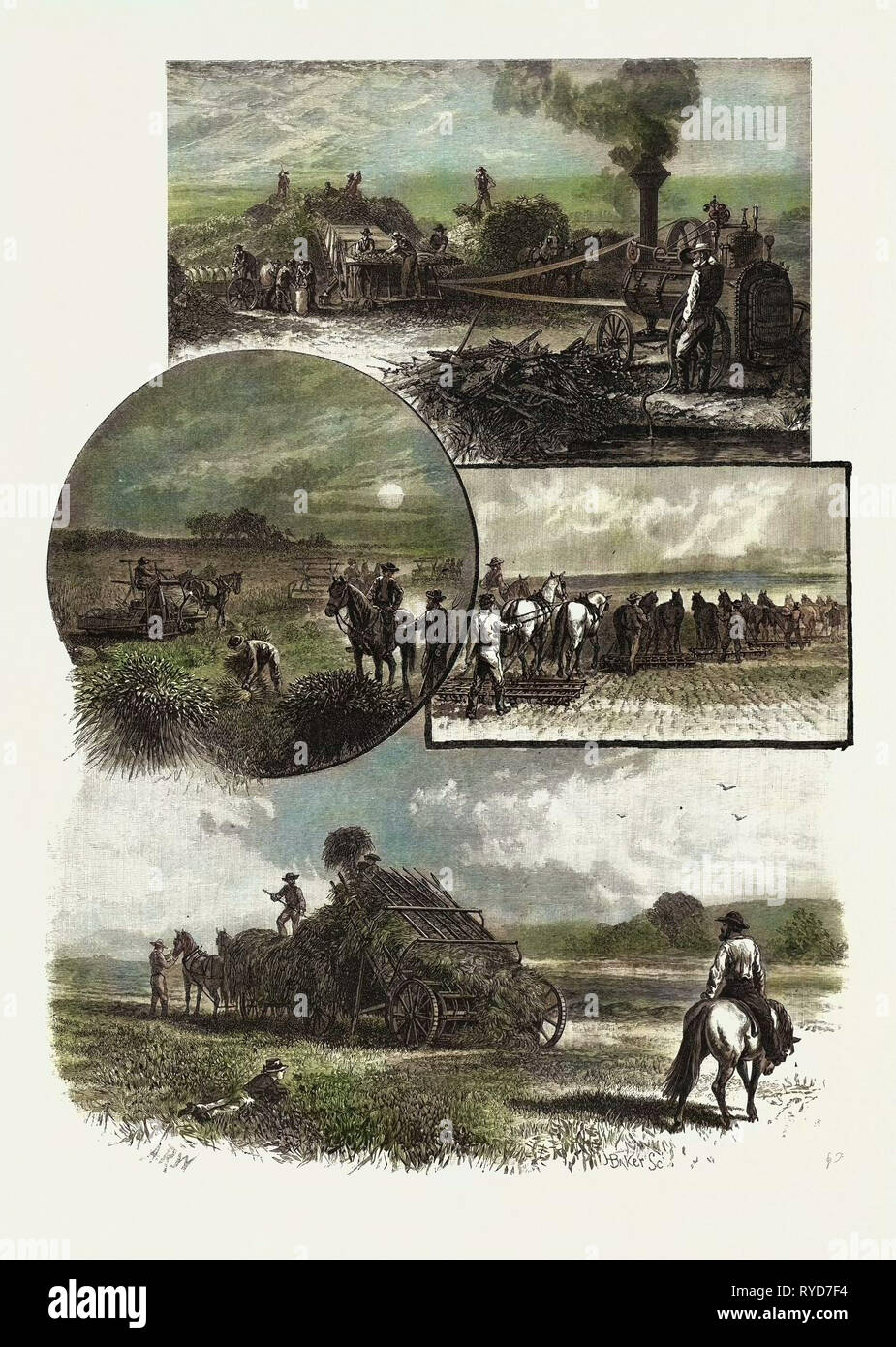 Victorian 19th century farming hi-res stock photography and images - Alamy