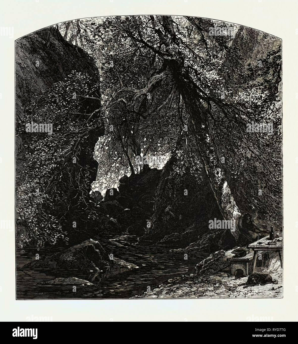 Dargle hi-res stock photography and images - Alamy