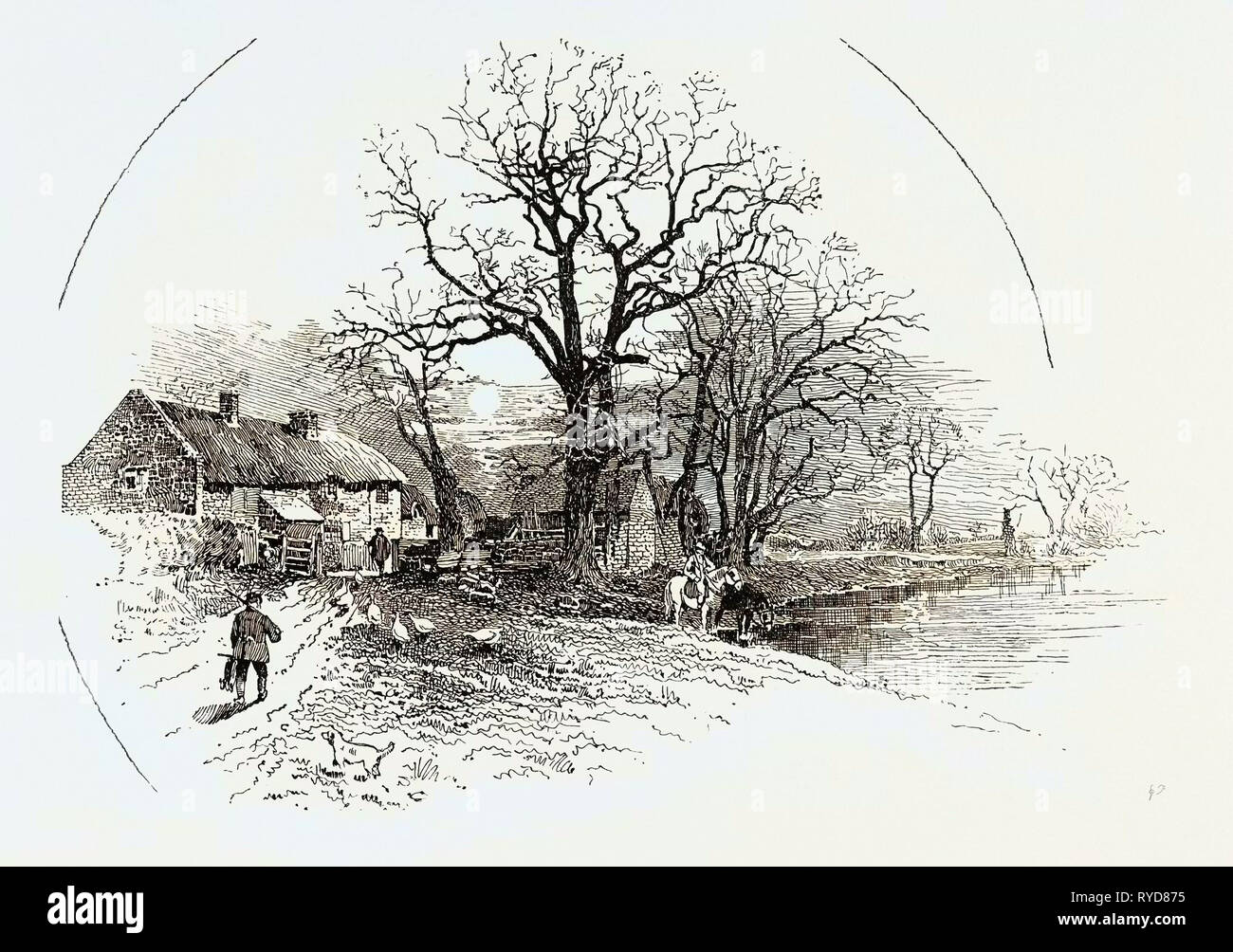 The Crow Trees, Barrow-on-Trent, UK Stock Photo - Alamy