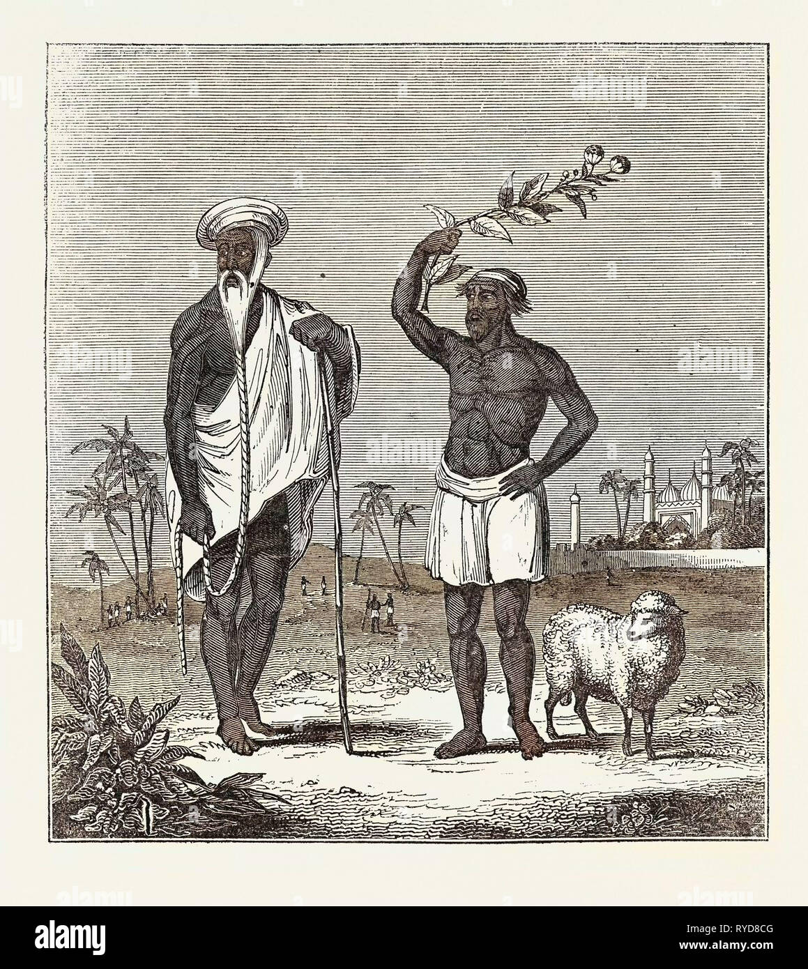 The Sheep-Eater of Hindostan: The Sheep-Eater and His Gurw, India. or ...