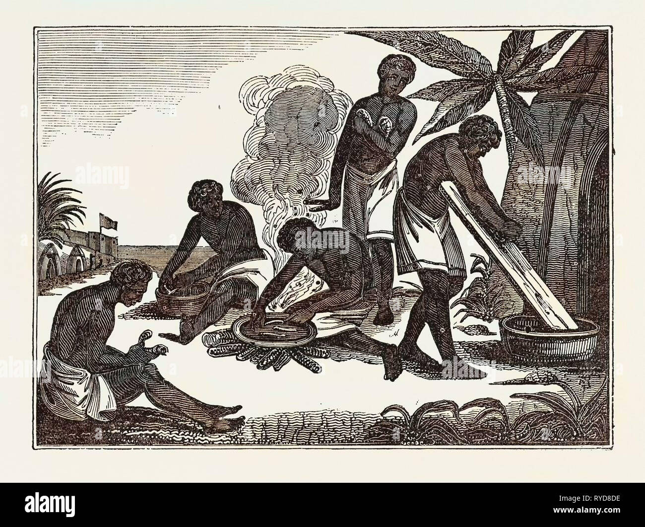 Natives of Madagascar Preparing Bread from the Manioc Root Stock Photo ...