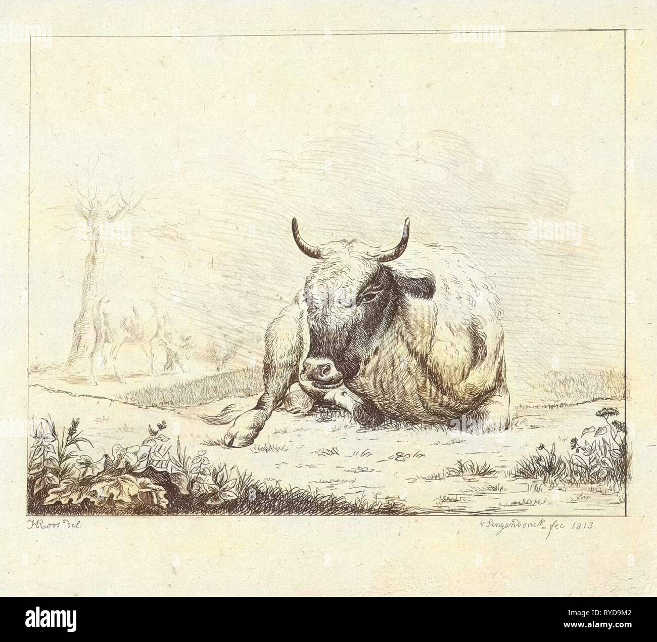 Lying cow, Diederik Jan Singendonck, 1813 Stock Photo - Alamy