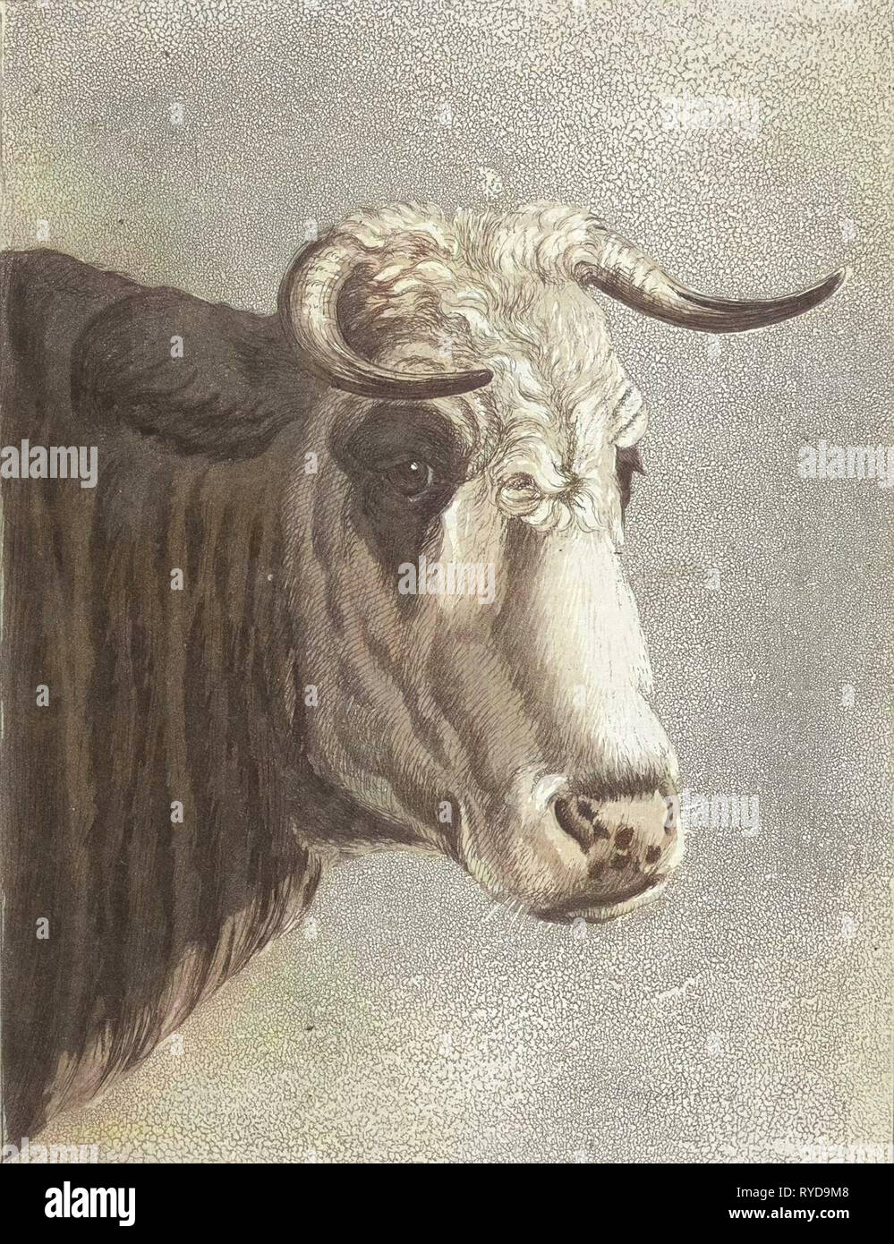 Diederik jan singendonck hi-res stock photography and images - Alamy