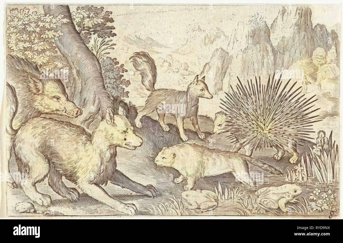 The fox and the wild boar hi-res stock photography and images - Alamy