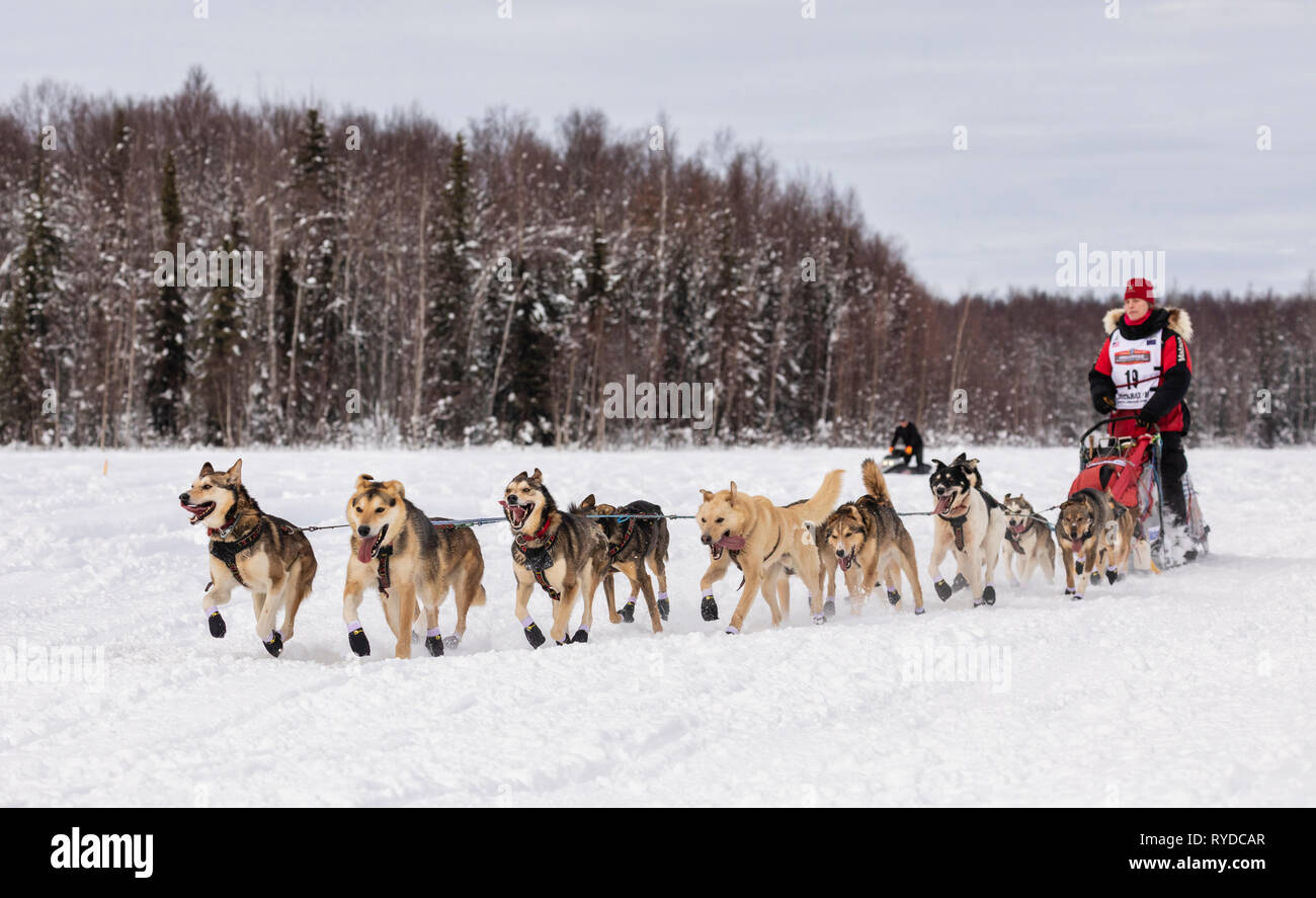 Musher Aliy Zirkle after the restart in Willow of the 47th Iditarod ...