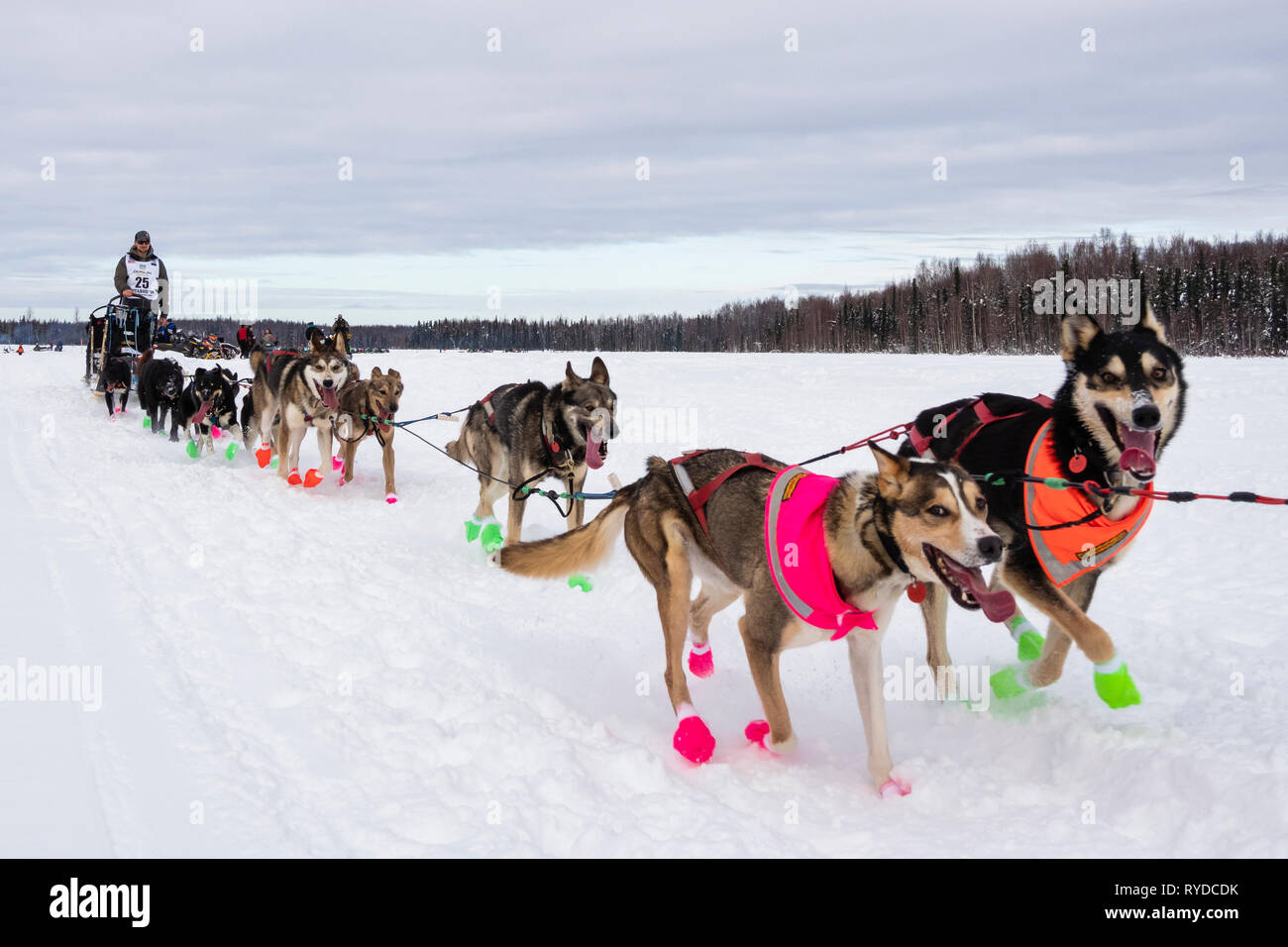 Musher Jeff Deeter after the restart in Willow of the 47th Iditarod ...