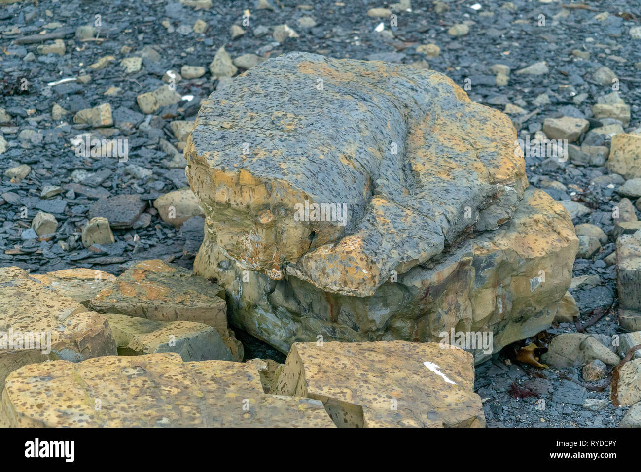 Upper Jurassic Clay Formations at Kimmeridge Bay in Dorset UK Stock ...