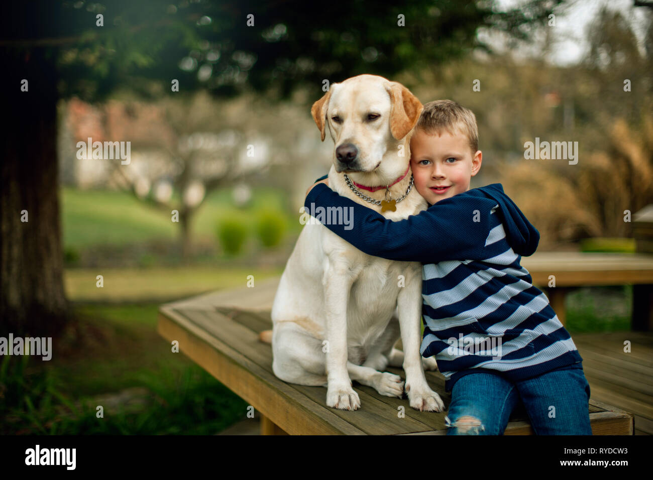 Boy loves dog hi-res stock photography and images - Alamy