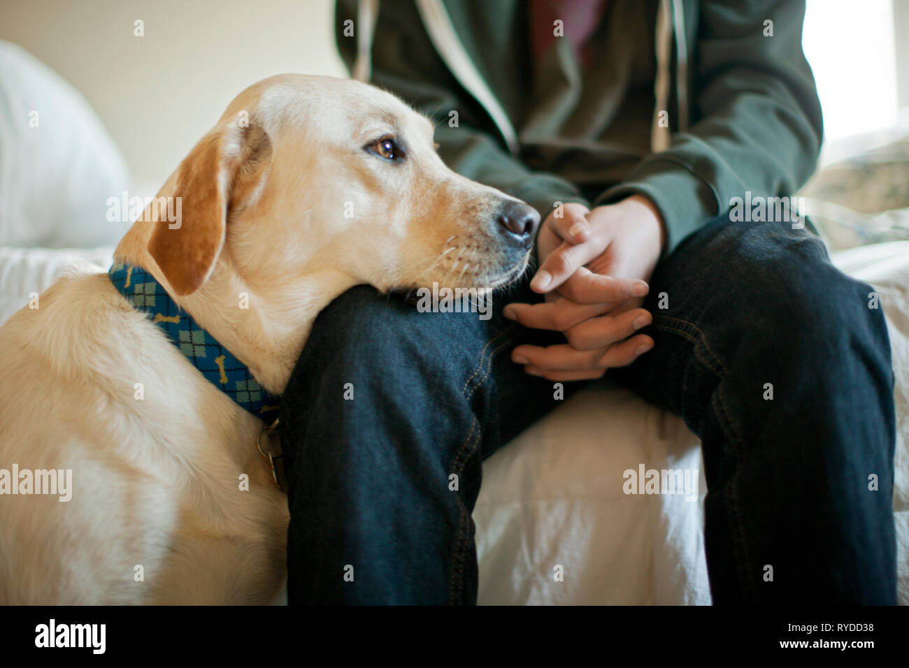 Hands clasped resting on lap hi-res stock photography and images - Alamy