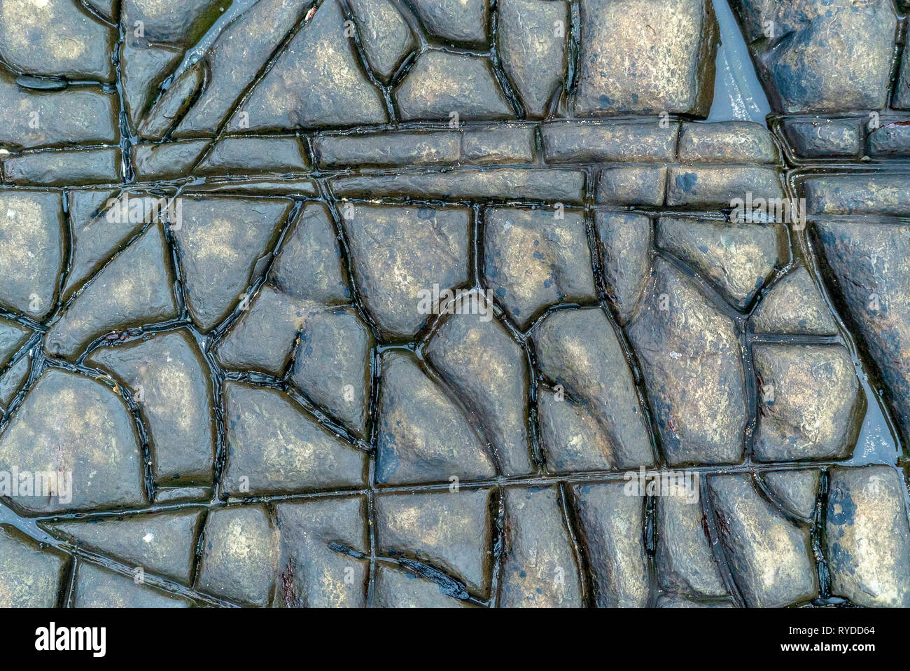 Fossiliferous Vegetation Markings on Maple Ledge Dolomite Beds at ...