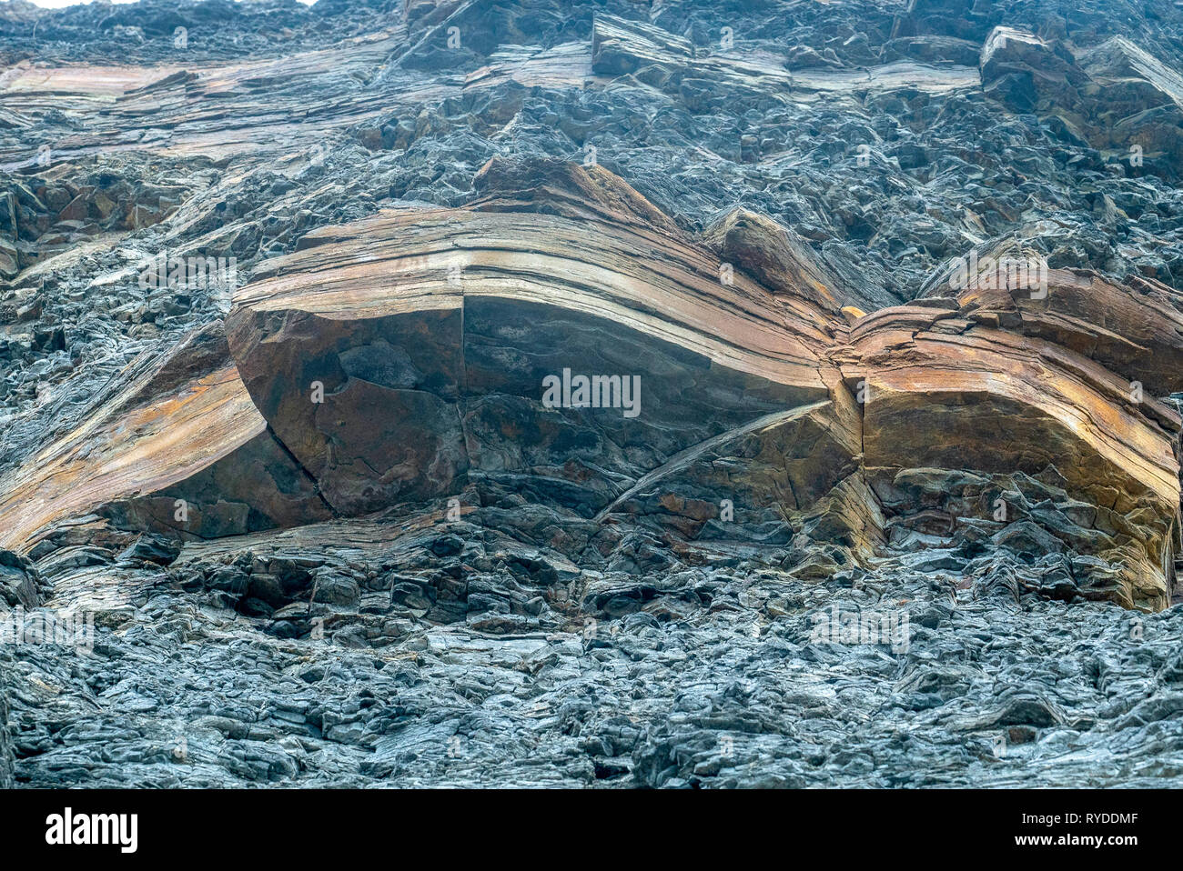 Upper Jurassic Clay Formations at Kimmeridge Bay in Dorset UK Stock ...