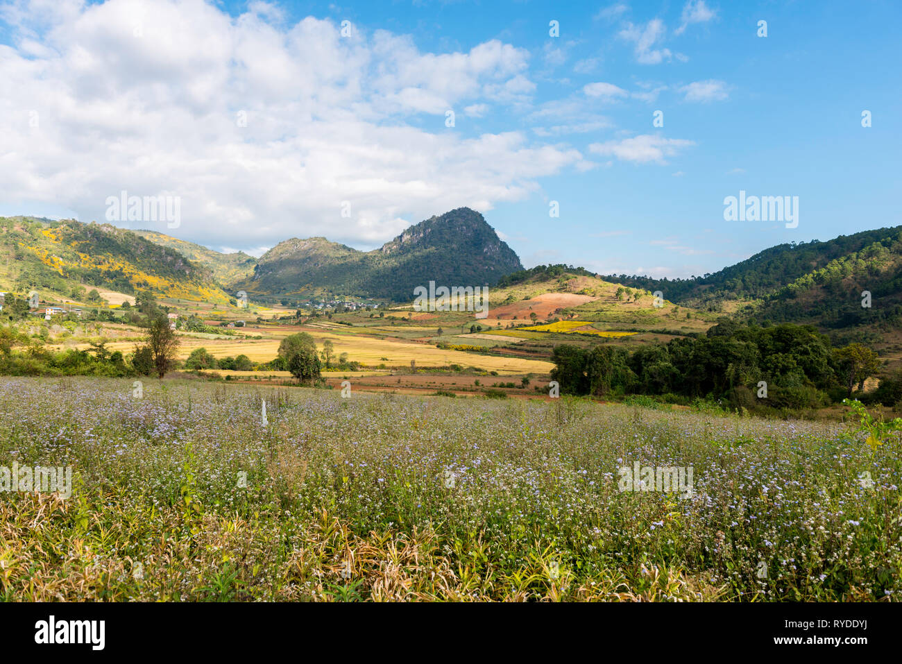Wide angle picture of flower fields and hills during famous trekking ...