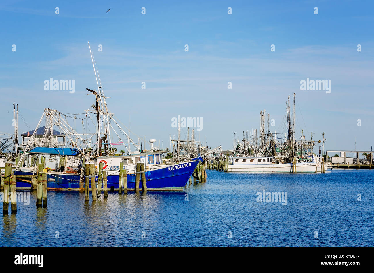 Shrimp boats are docked in Pass Christian Harbor, Feb. 24, 2019, in ...